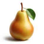 Words for fruits and vegetables in Turkish - Turkish Textbook