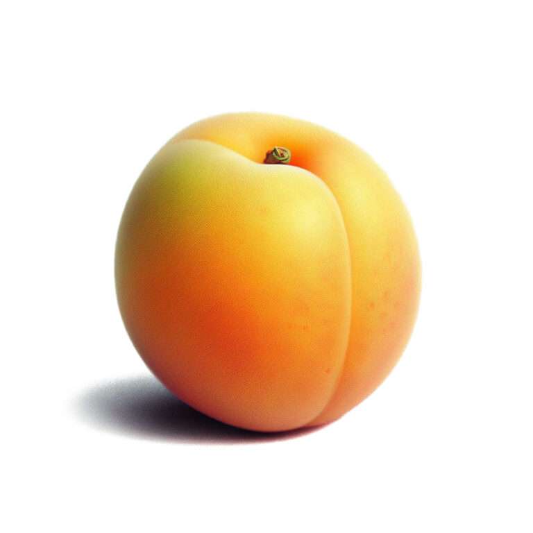 Words for fruits and vegetables in Turkish - Turkish Textbook