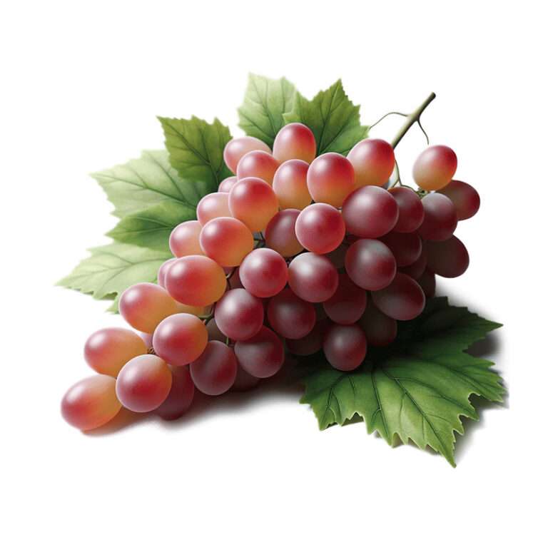 Words for fruits and vegetables in Turkish - Turkish Textbook